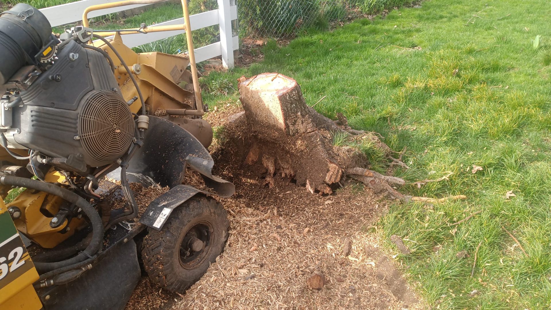 Reynoldsburg Tree Stump Removal and Grinding | Reynoldsburg, OH ...